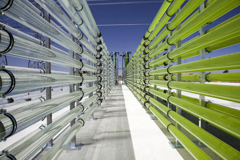 Building Momentum in UK Carbon Capture - Societe Generale United Kingdom